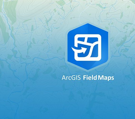 Criando um modelo de caderneta digital com o ArcGIS Field Maps - Sucesso do Cliente IMG